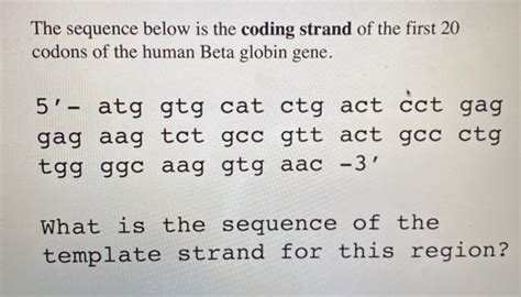 Solved The Sequence Below Is The Coding Strand Of The First