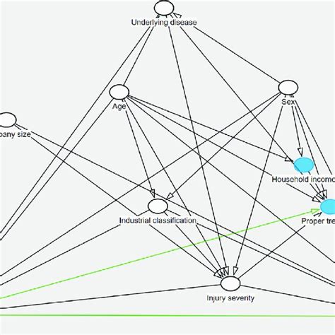 Directed Acyclic Graphs For Variable Selection Download Scientific