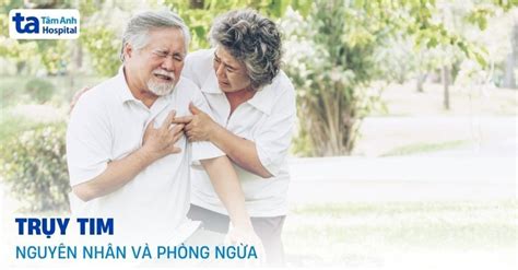 Tr Y Tim Nguy N Nh N Tri U Ch Ng Ch N O N V Ph Ng Ng A