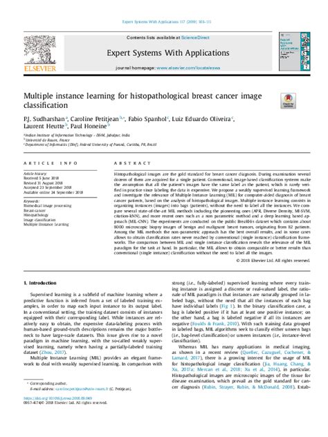 pdf multiple instance learning for histopathological breast cancer image classification