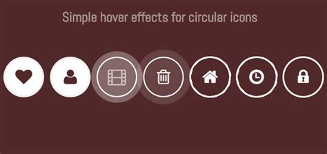 29 Best Css3 Hover Effects And Animations 2024 Wpshopmart