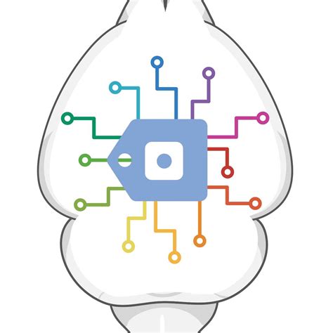 Fresh Frozen Tissue Collection For Single Cell Sequencing