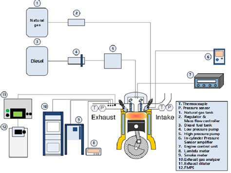 Schematic Diagram Of The Experimental Setup Download Scientific Diagram
