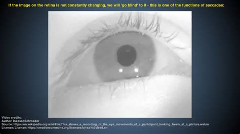 paul tadrous on linkedin microscopy opensource neuroscience