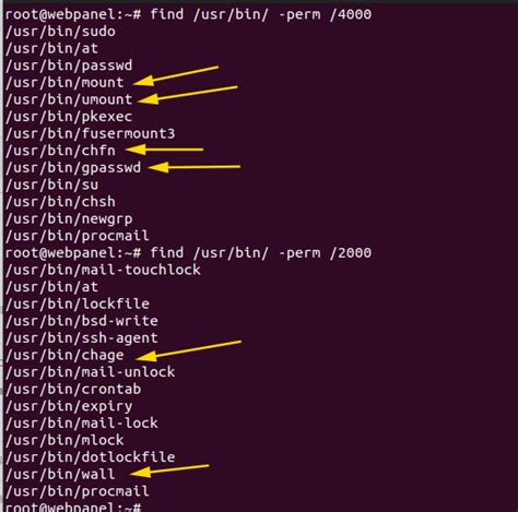 Remove The Special Permissions Of Important Files And Stop Hackers
