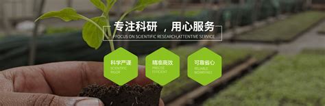 武汉多米诺生物 提供土壤理化动植物理化酶活性靶向代谢蛋白多肽淀粉性质氧化应激植物激素抗生素等检测技术服务 dominobio
