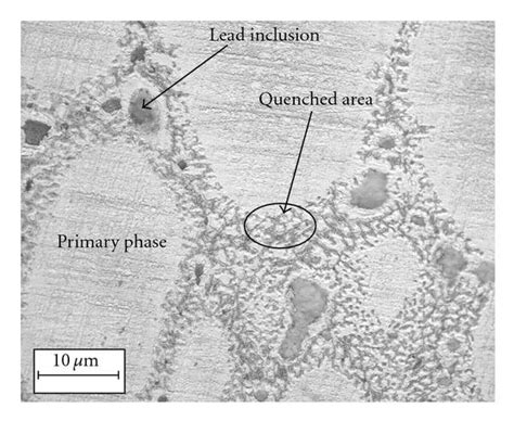 Microstructure Of Cu 5sn 5pb Alloy Quenched From Monotectic Temperature Download Scientific
