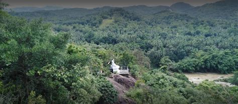 පාරිලෙය්‍ය වන අරණ