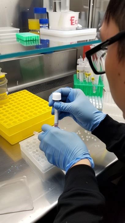 Free Scientific Sample Analysis Image Science Laboratory Pipetting