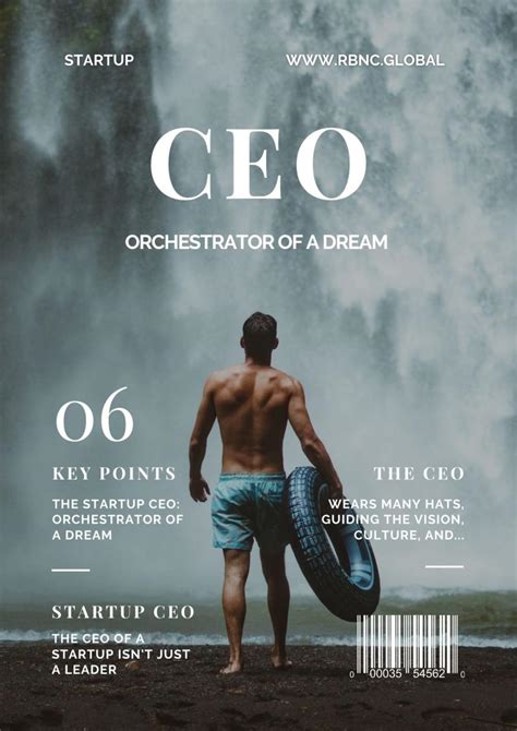 Rbnc Build And Execute Strategy On Linkedin The Startup Ceo Orchestrator Of A Dream