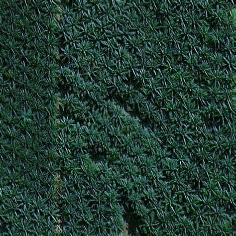 Oilpalm Detection Counting Object Detection Dataset And Pre Trained