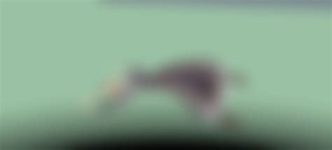 Press Flutter Alt By Imjustryu On Deviantart