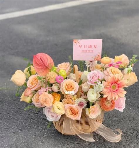 以郁金香代表早日康复郁金香的花语和象征意义 花植网