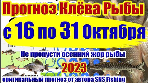 Прогноз клева рыбы на неделю с 16 по 31 Октября Календарь клева рыбы Лунный календарь рыбака