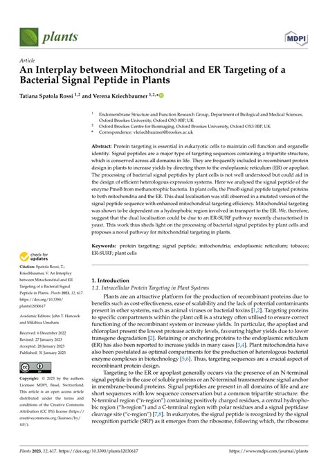 Pdf An Interplay Between Mitochondrial And Er Targeting Of A Bacterial Signal Peptide In Plants