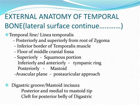 Temporal Bone Anatomy And Surgical Significancepptx Pptx