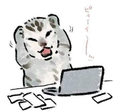 Pin By Demo On History Jokes In 2025 Cat Memes Cute Memes Silly Cats