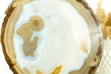 Collector Grade Agate Slice With A Drawing Of A Person Contemplating