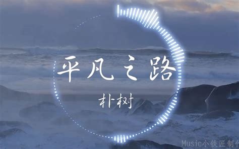【负重一万斤长大】歌词排版 “愿没人再负重一万斤长大” 苏芊柒 825 哔哩哔哩视频