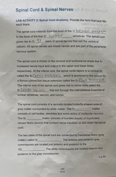 Solved Spinal Cord Spinal Nerves LAB ACTIVITY 3 Spinal Chegg Com