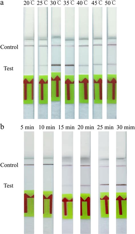 Optimization Of The Reaction Temperature And Time For Rpa Download