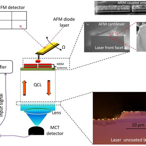 Apertureless Near Field Optical Microscope A Nsom To Probe Near Field