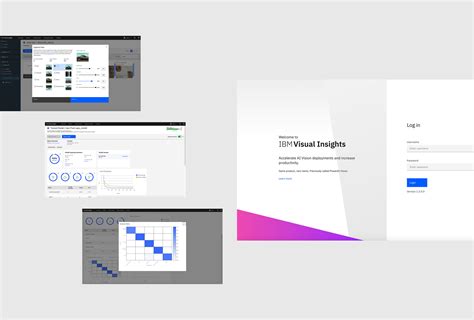 IBM Visual Insights Gabriella Campagna Lanning