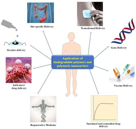 Recent Advances In Biodegradable Polymers And Their Biological
