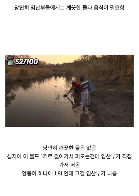 세계유튜버 1위 미스터 비스트 근황 포텐 터짐 최신순 에펨코리아