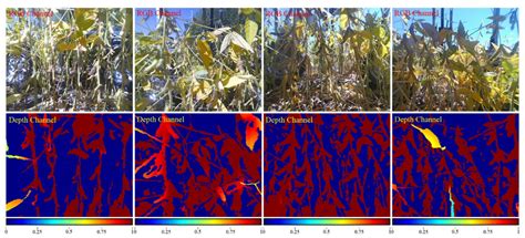 Samples Of Rgb And Depth Image Data Download Scientific Diagram