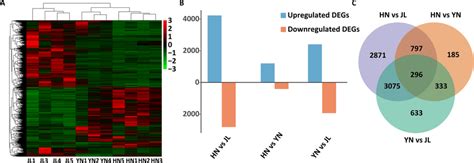 Differential Gene Expression Analysis Of Three Populations A Heatmap