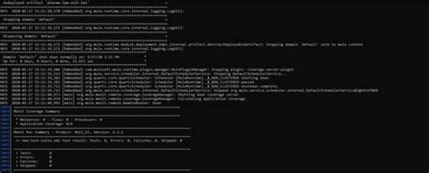 Munit Test Cases Are Running Successfully But Getting Issue While