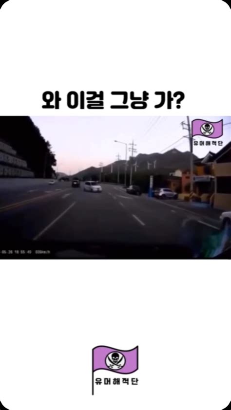 쫄지마 일상 소통 맞팔 선팔 여행 육아 사고 유머 웃긴짤 유머스타그램 재밌는 재미 유머모음 짤 Ootd 차 커플