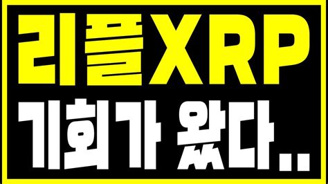 리플 코인전망 기회가 왔습니다 시~원하게 결론 드립니다 리플코인xrp리플코인sec리플소송리플재판 Youtube