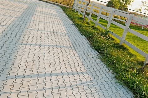 Pavele Ieftine Ilfov Pavaj Pavele Ro