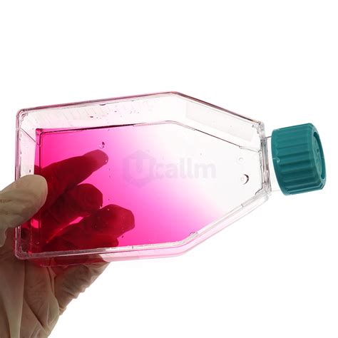 Cell Culture Flask T 25 Plug Seal Cap Ucallmlabs