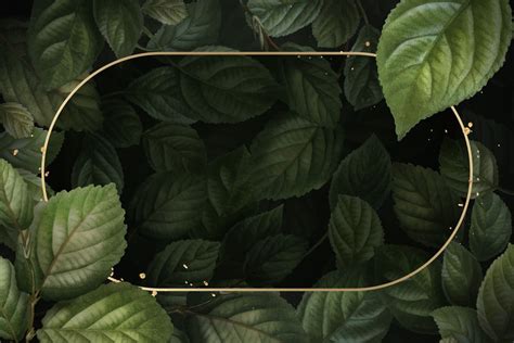 树叶图案背景向量模板上的金色框架素材 高清图片 摄影照片 寻图免费打包下载