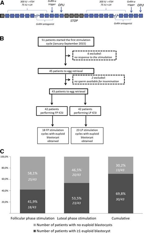 A Dual Stimulation Protocol Five Days After The First Oocyte Download Scientific Diagram
