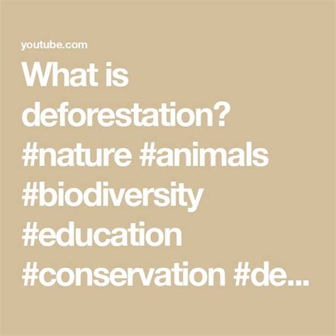 What Is Deforestation Nature Animals Biodiversity Education