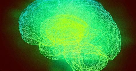 Former Facebook Exec Says Ai Will Soon Simulate The Human Brain