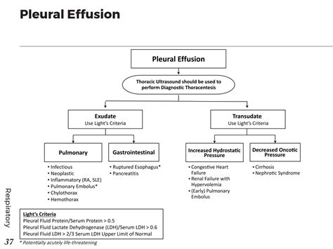 Unilateral Pleural Effusion