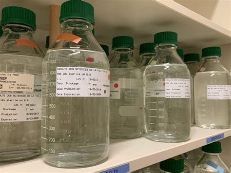 Deliveries ‒ Sv In ‐ Epfl