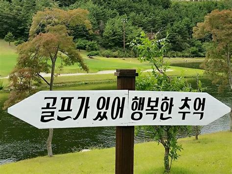 즐거운 스크린골프 안양 의왕 성남 과천 Band