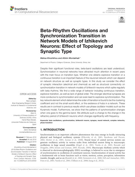 Pdf Beta Rhythm Oscillations And Synchronization Transition In