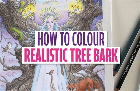 How To Colour Realistic Tree Bark Colouring Heaven