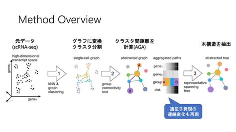 wolf et al graph abstraction reconciles clustering with trajectory inference through a