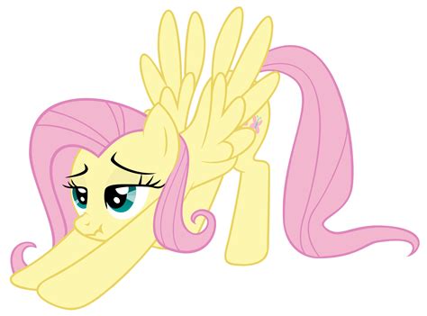 I Want To C Inside Fluttershy I Want To Cum Inside Rainbow Dash