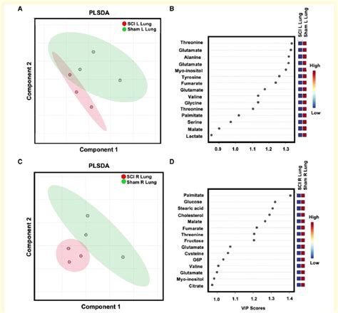Sci Alters Lung Metabolites Partial Least Squares Discriminant Download Scientific Diagram