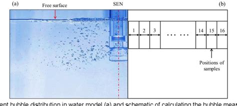Figure 2 From Numerical Modeling Of Bubbly Flow In Continuous Casting