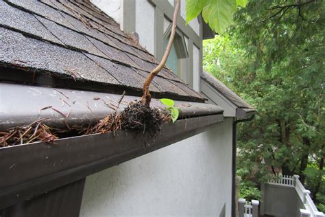 Are Gutter Guards Worth It Structure Tech Home Inspections